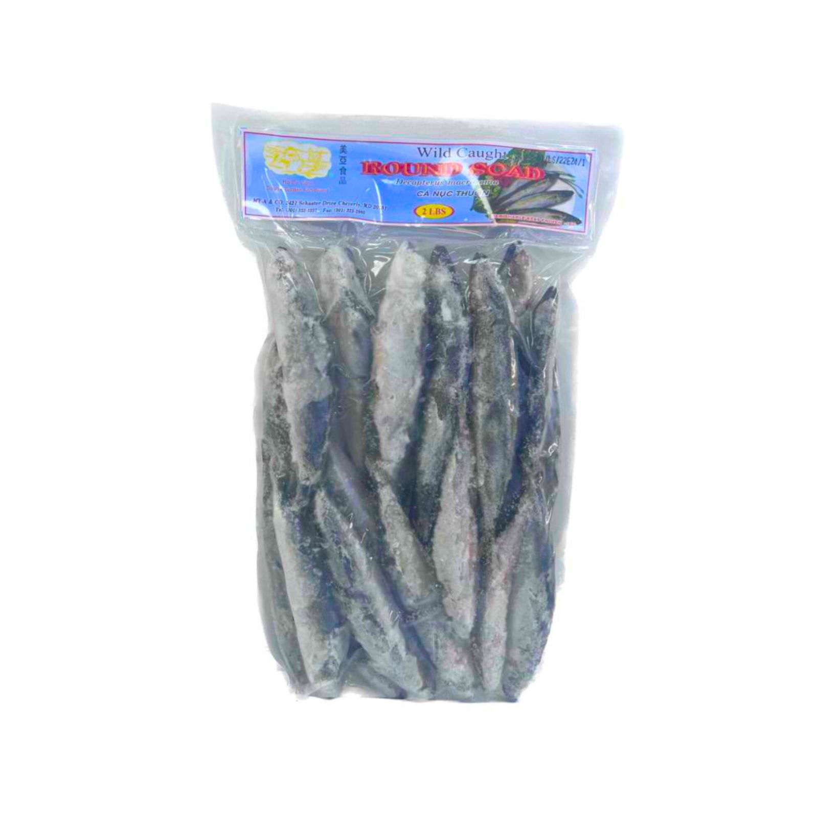 ASEAN SEAS Frozen Whole Round Scad | Phan Thiet Oriental Market
