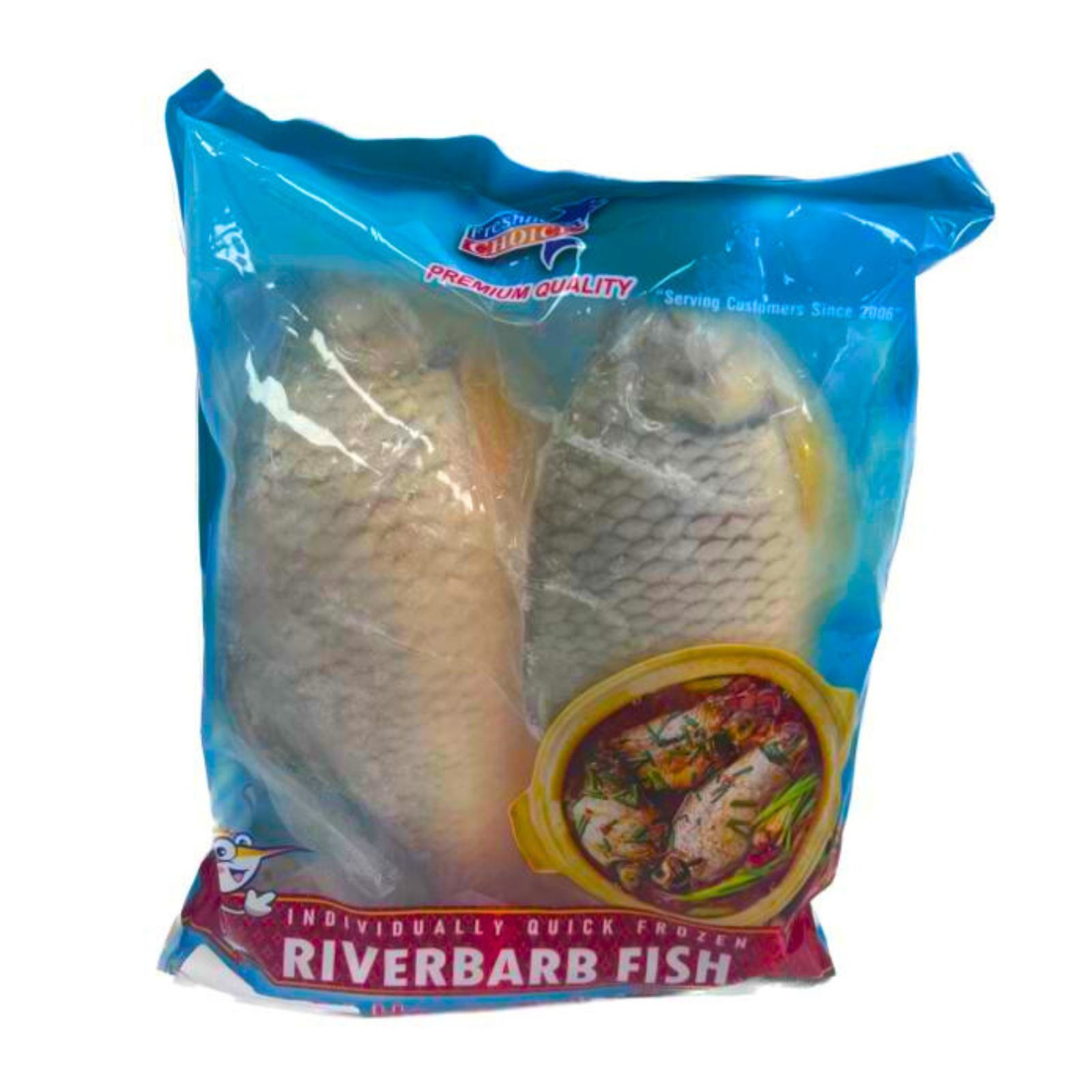 INDIVIDUALLY QUICK FROZEN RIVERBARB FISH | Phan Thiet Oriental Market